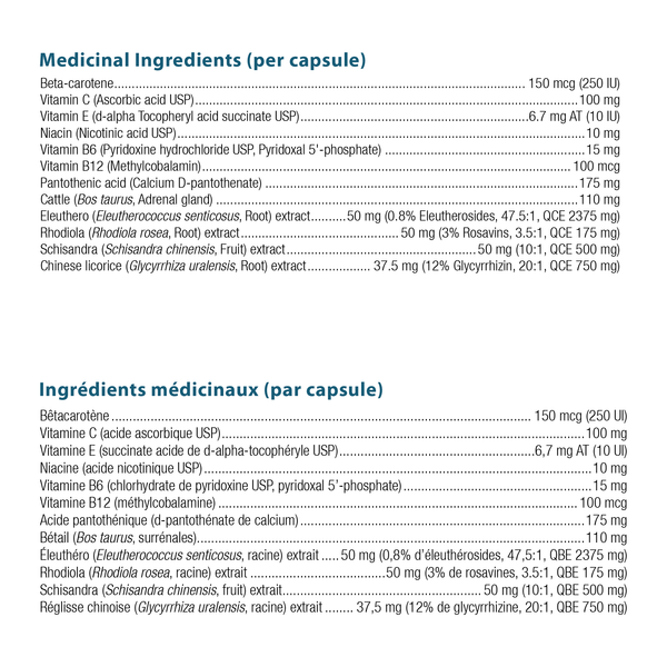 Adren-All. 60 ct ENERGY SUPPORT, Ortho Molecular Products – Rediscover ...