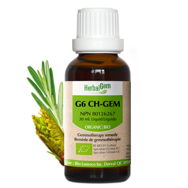 G6 CH-GEM, 30 ml, Gemmotherapy – Rediscover Health Online Dispensary